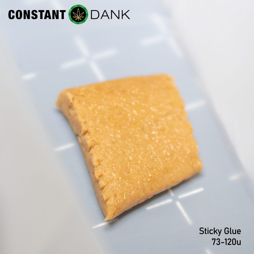 CONSTANT DANK - Sticky Glue - 73-120u Live Blonde Hash | Niagara Greenbird